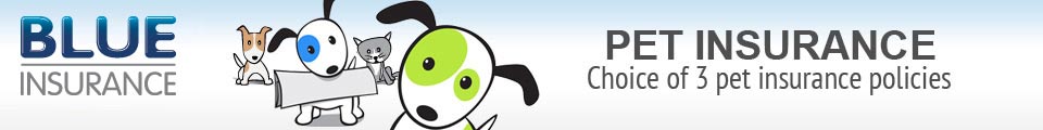 Pet Insurance